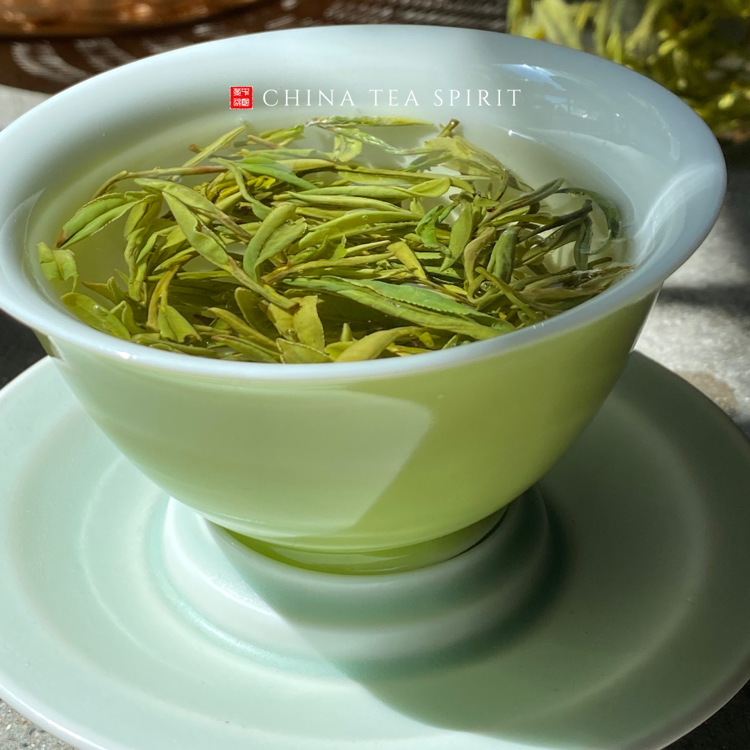 2023 Huangshan Maofeng Chinese Green Tea - China Tea Spirit