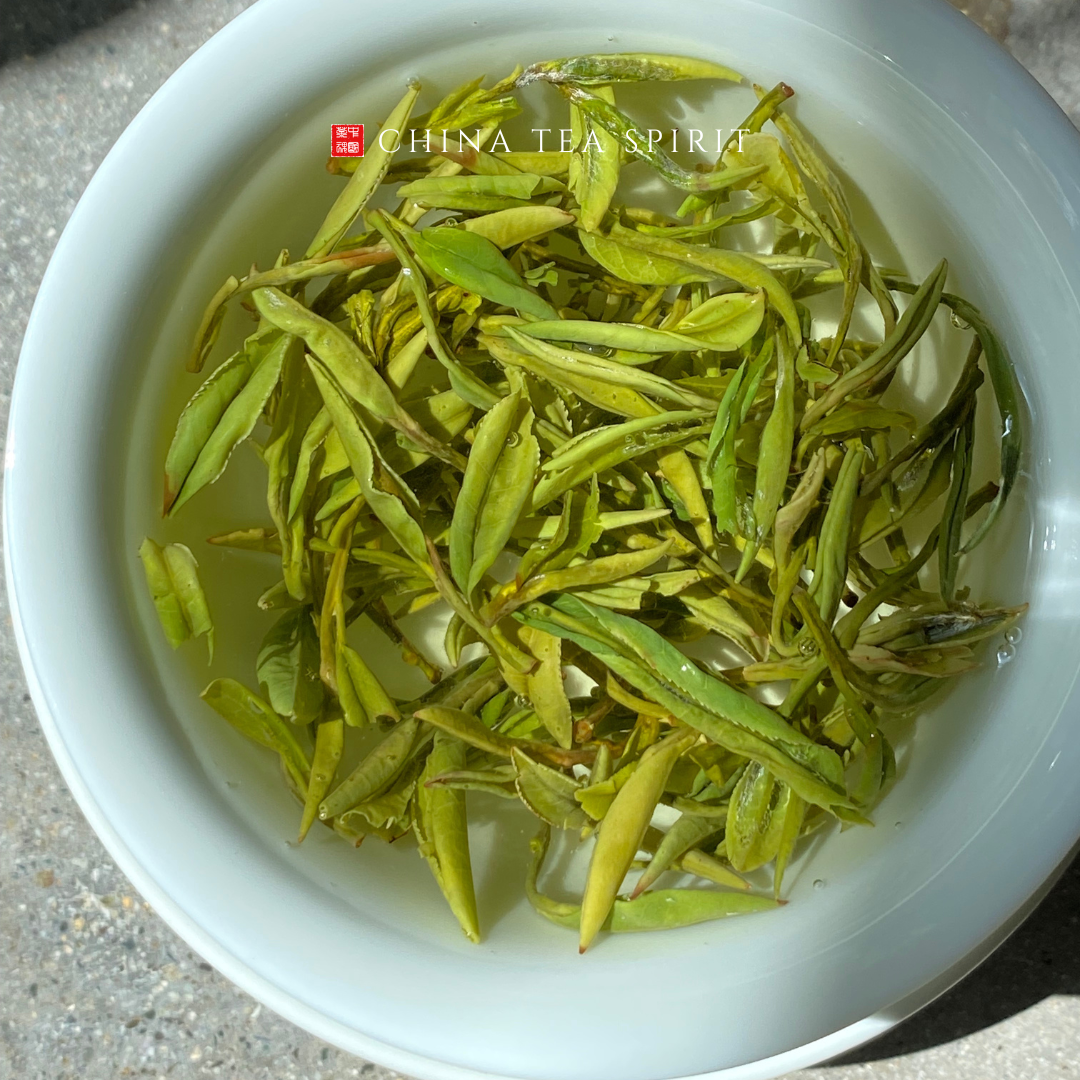 2023 Huangshan Maofeng Chinese Green Tea - China Tea Spirit