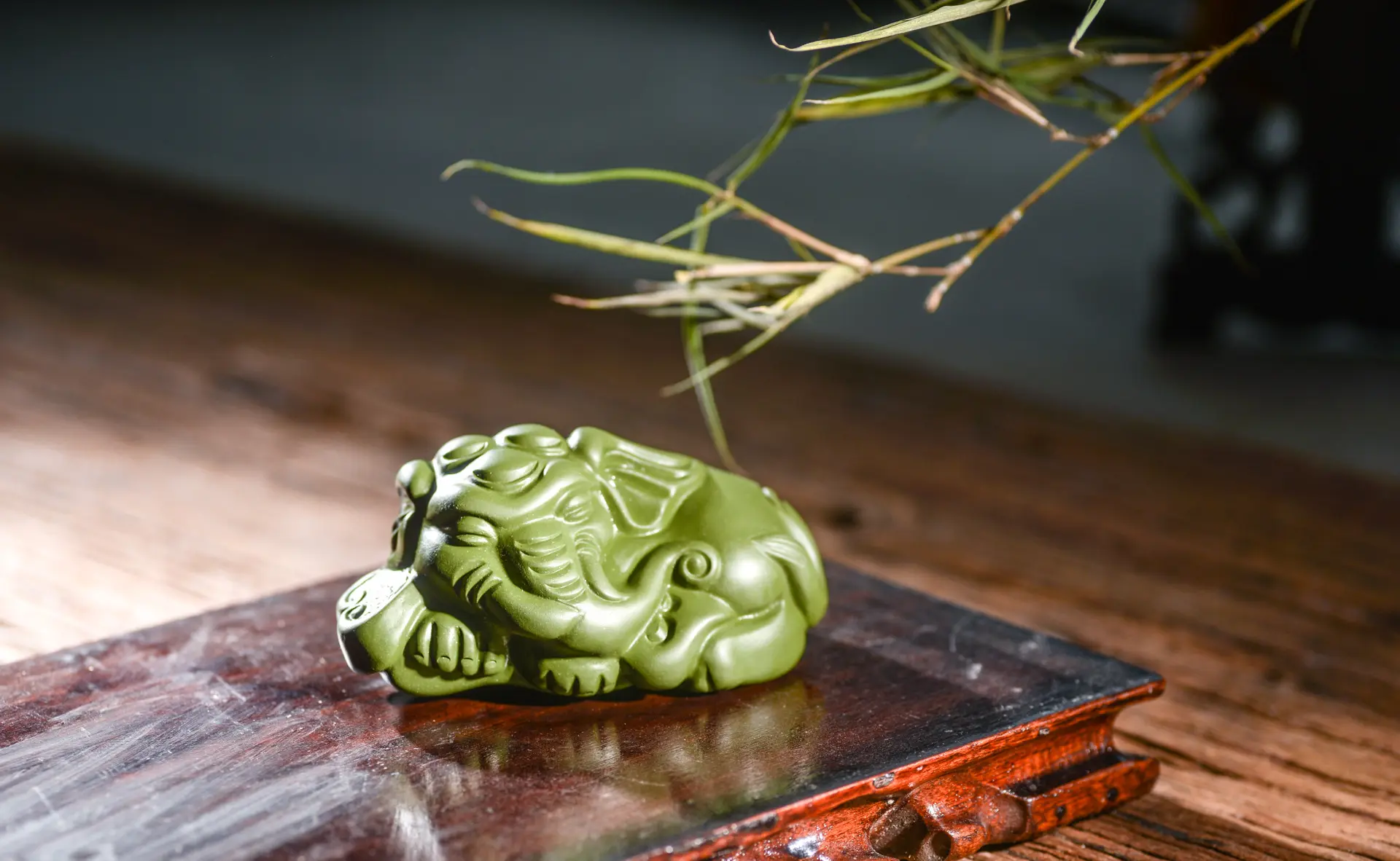 How to Care for Your Tea Pet: A Complete Guide - Tips & Tricks