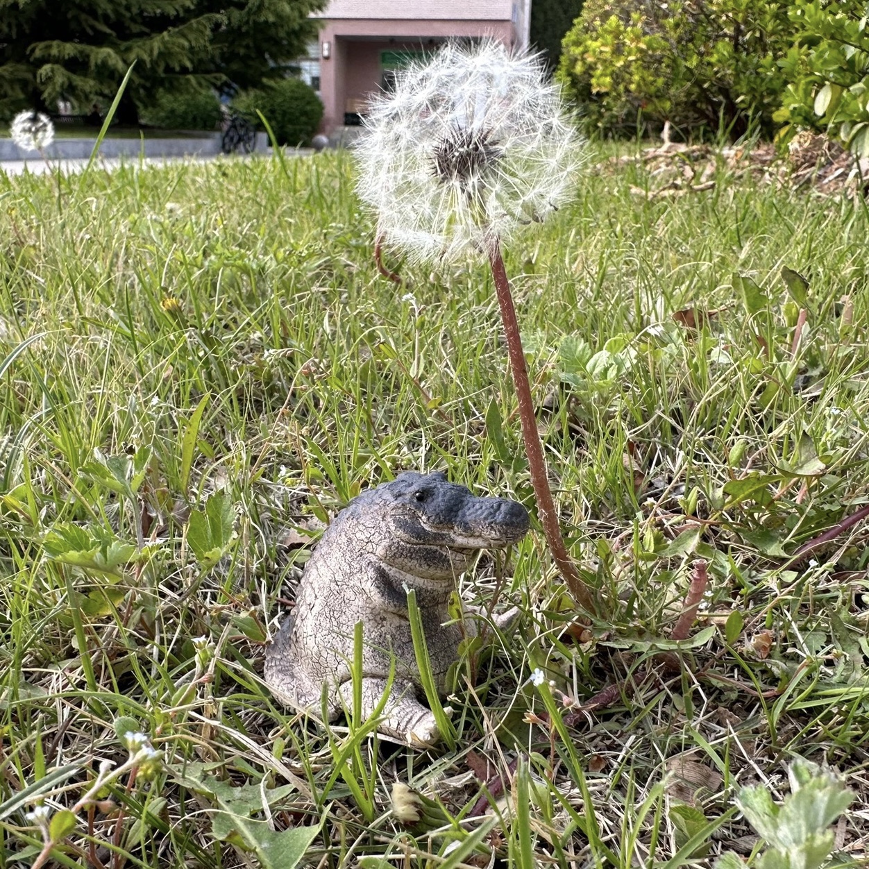 Creative Zisha Yixing Clay Cute Little Chubby Crocodile Tea Pet - China ...