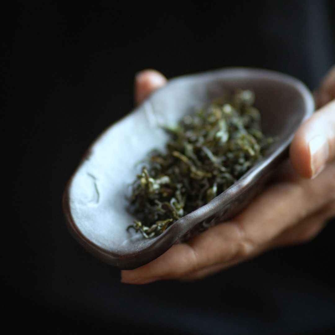 Handmade Zini Turtle Shell Kung Fu ChaZe - China Tea Spirit